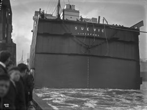 Ship No. 333 Suevic | Explore Our Collections
