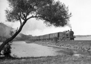 HOYFM.WR.346 | Explore Our Collections