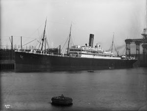 Ship No. 397 Minnewaska | Explore Our Collections