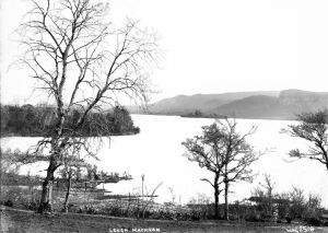 LOUGH MACNEAN | Explore Our Collections