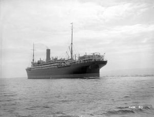 HOYFM.HW.611 | Explore Our Collections