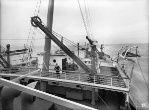 Ship No. 367 Aragon | Explore Our Collections