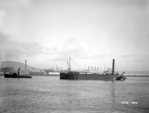 HOYFM.HW.807 | Explore Our Collections